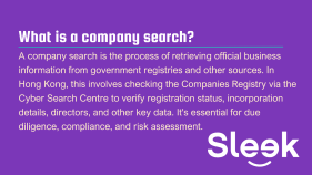 Company Search in Hong Kong Made Simple - Sleek Hong Kong
